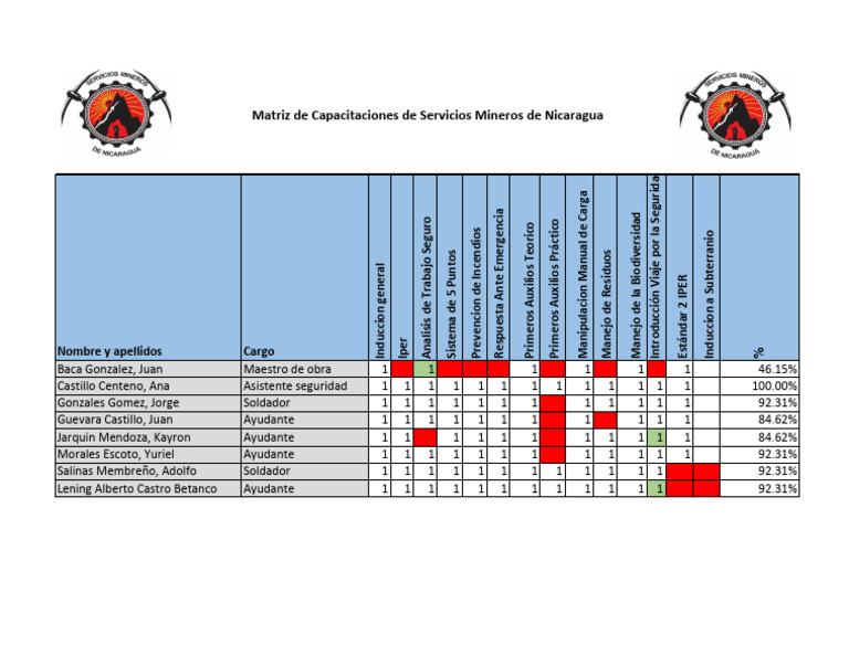 MATRIZ PERSONAL SMN | PDF