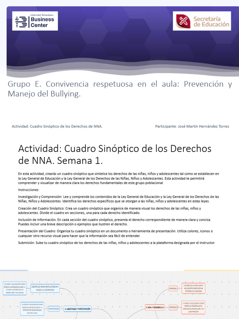 Derechos de NNA: Cuadro Sinóptico | PDF