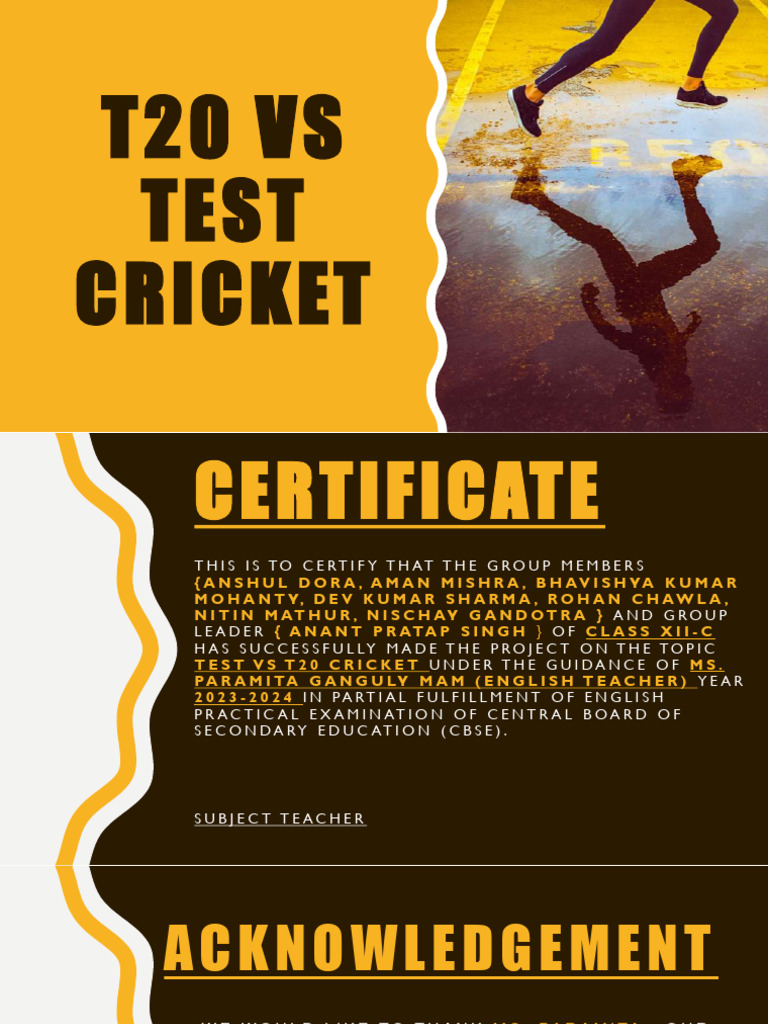 English Project Test Vs t20 Cricket | Download Free PDF | Cricket ...