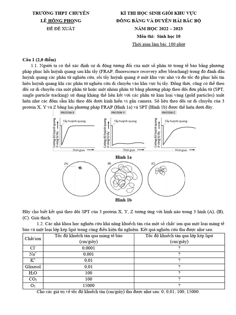 Chuyên Lê H NG Phong Sinh 10 | PDF