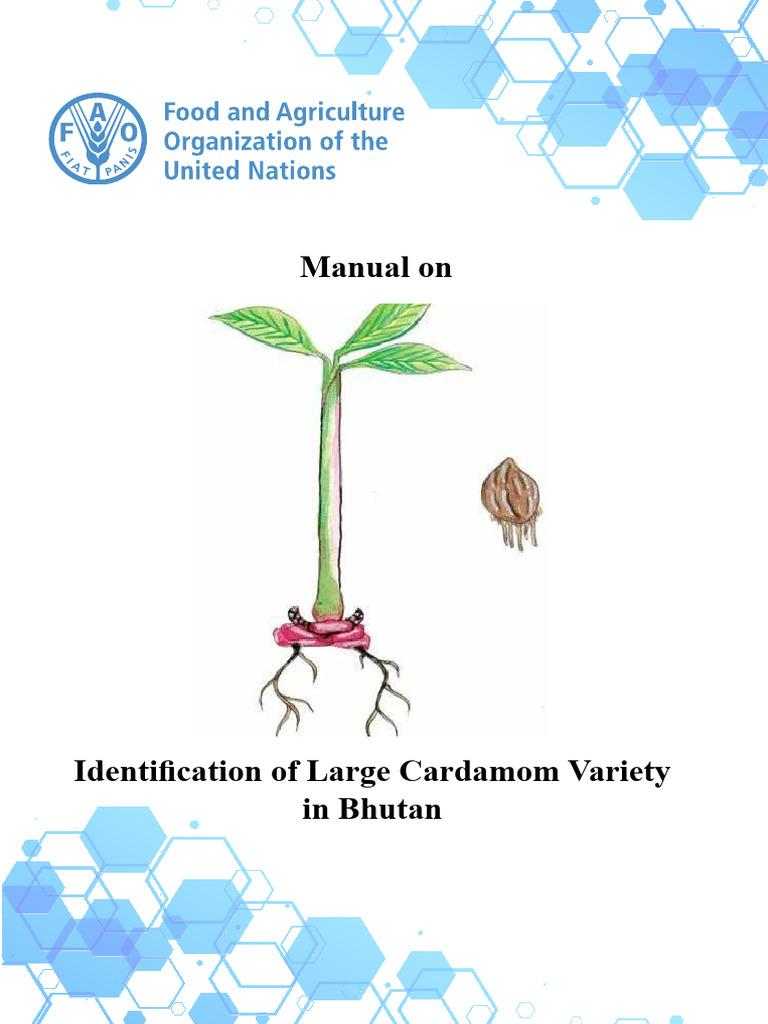 Maunual On Large Cardamom Variety Identification in Bhutan | PDF ...