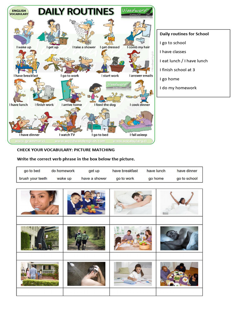 Daily Routine | PDF | Lunch | Adverb