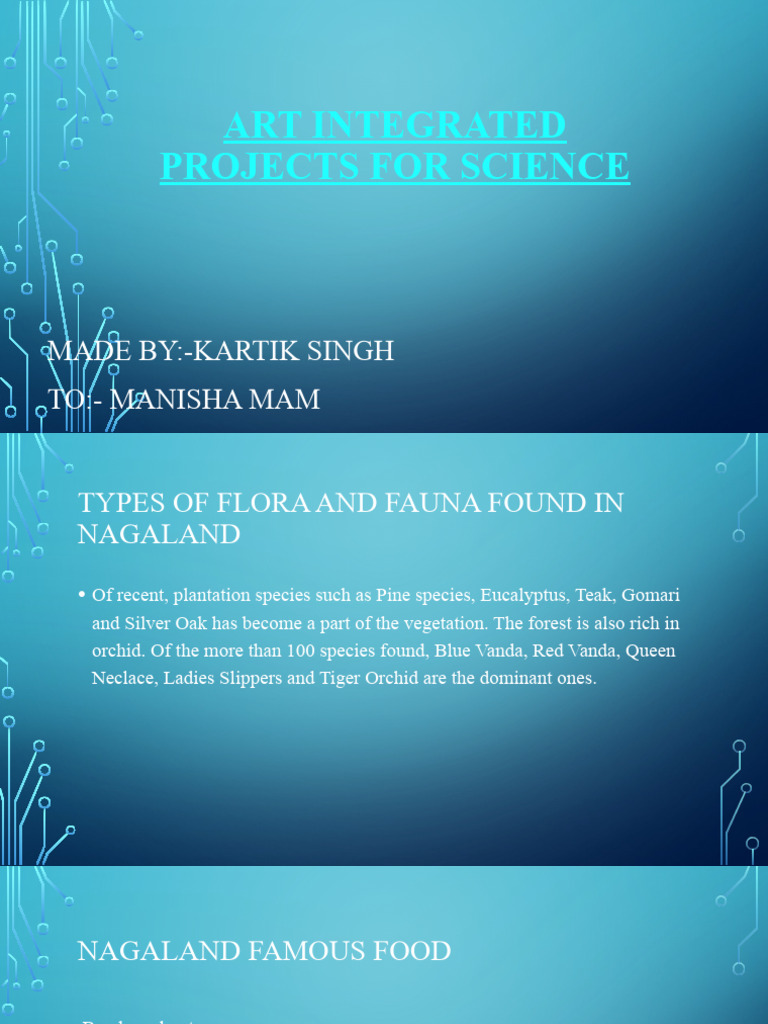 Kartik Singh Integrated Projects | PDF