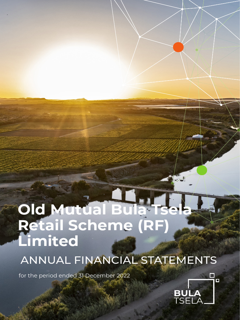 Bula Tsela Annual Financial Statements For The Year Ended 31 December ...