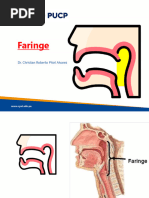 Anatomía y función de la faringe | PDF | Otorrinolaringología | Sistema ...