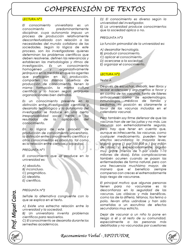Comprensión de Textos | PDF