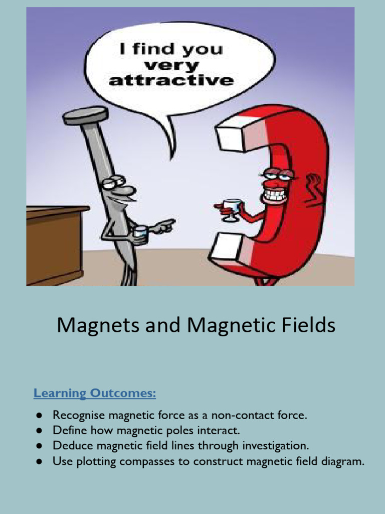 Magnets and Magnetic Fields | PDF | Magnet | Magnetism