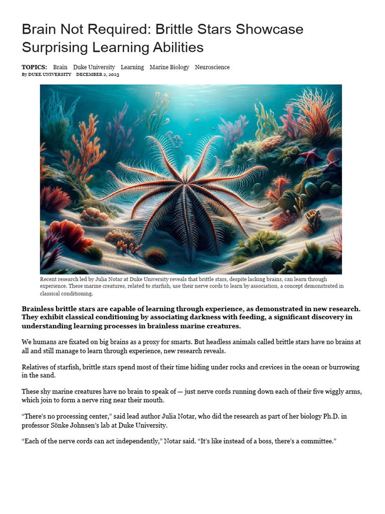 Brain Not Required-Brittle Stars Showcase Surprising Learning Abilities ...
