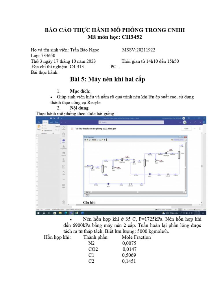 BÁO CÁO THỰC HÀNH MÔ PHỎNG TRONG CNH2 | PDF