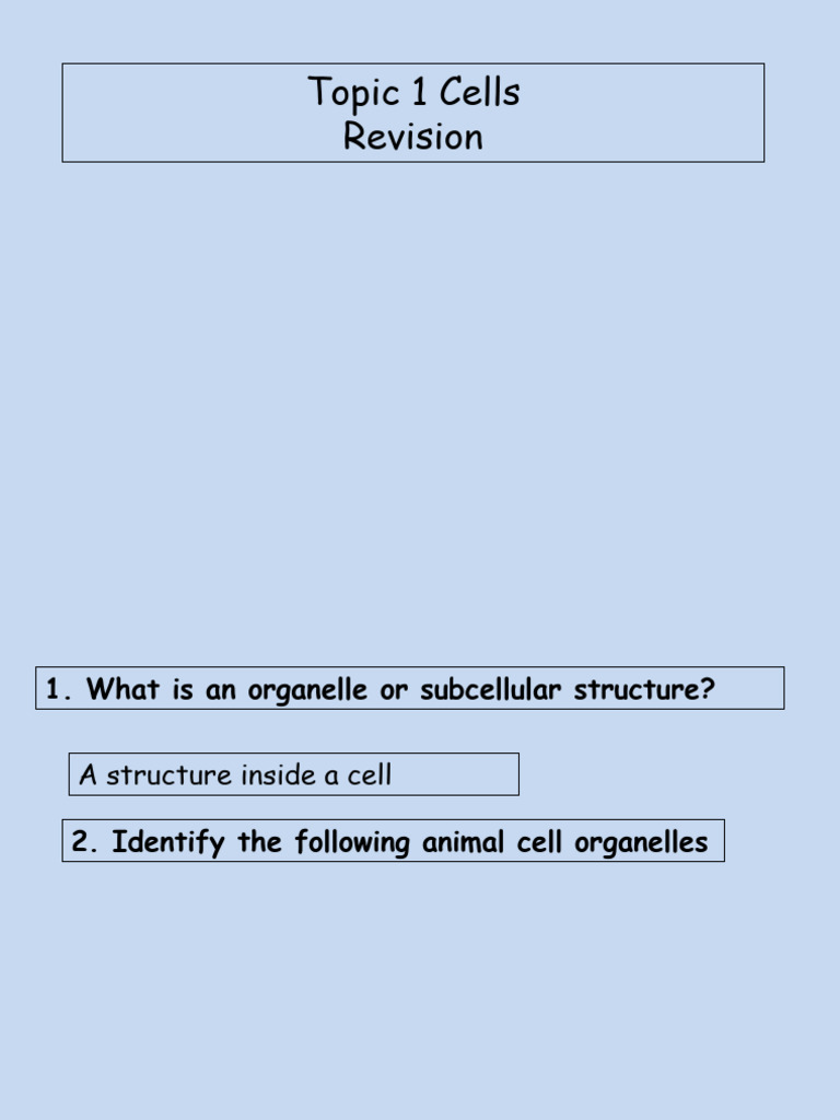 Topic 1 Cells Revision Yd | PDF | Cell (Biology) | Stem Cell