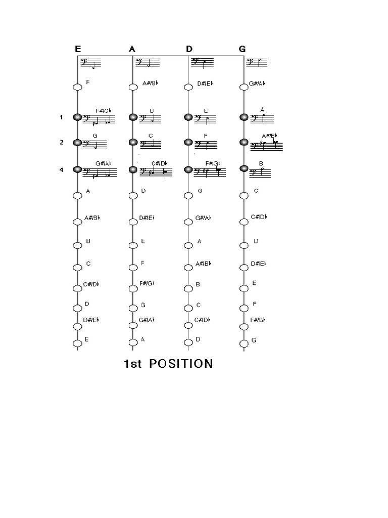 Bass 1st Position | PDF