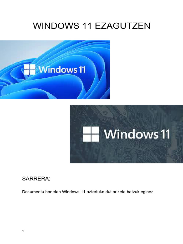 Windows 11 Ezagutzen | PDF