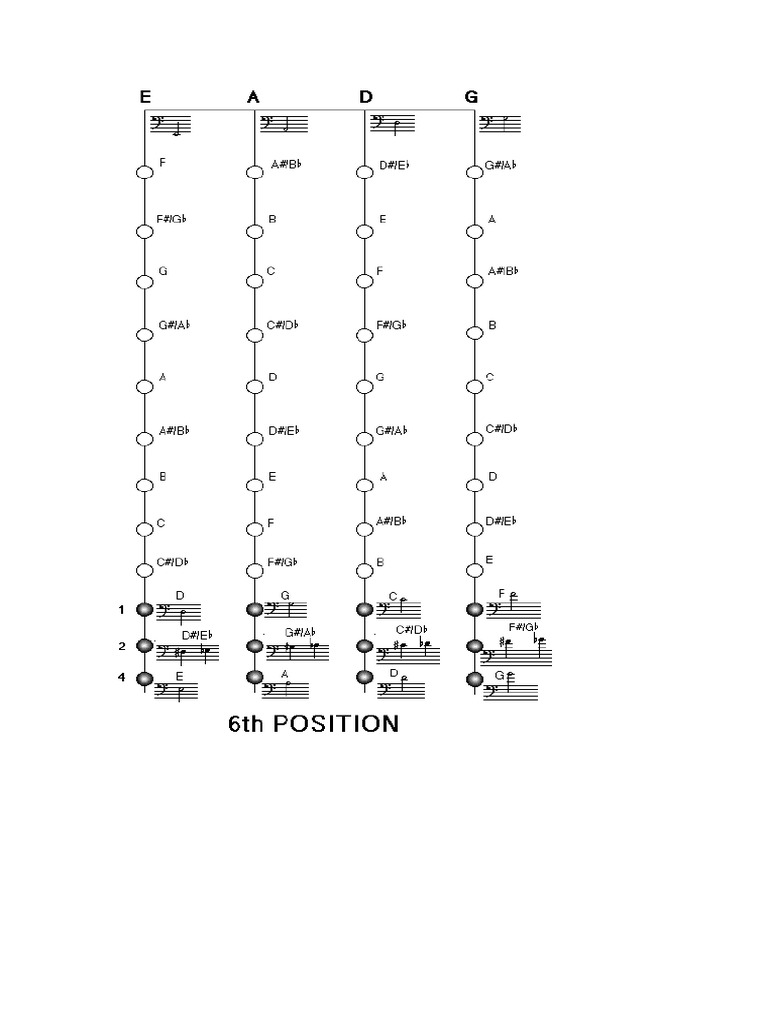 Bass 6th Position | PDF