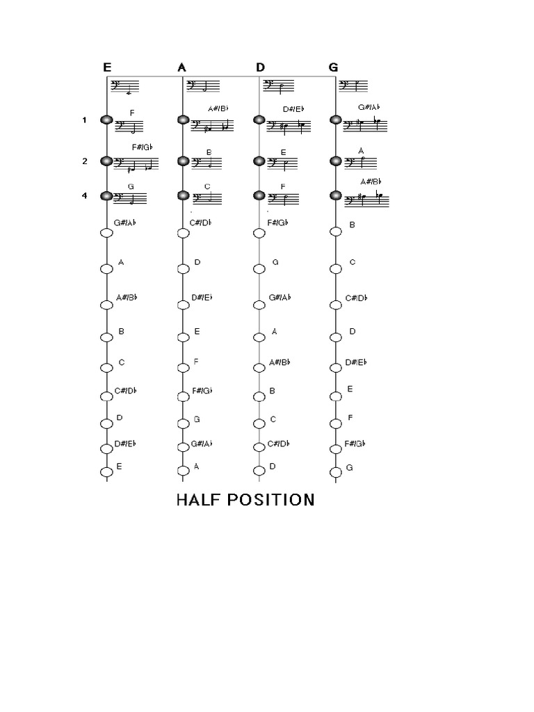 Bass Half Position | PDF