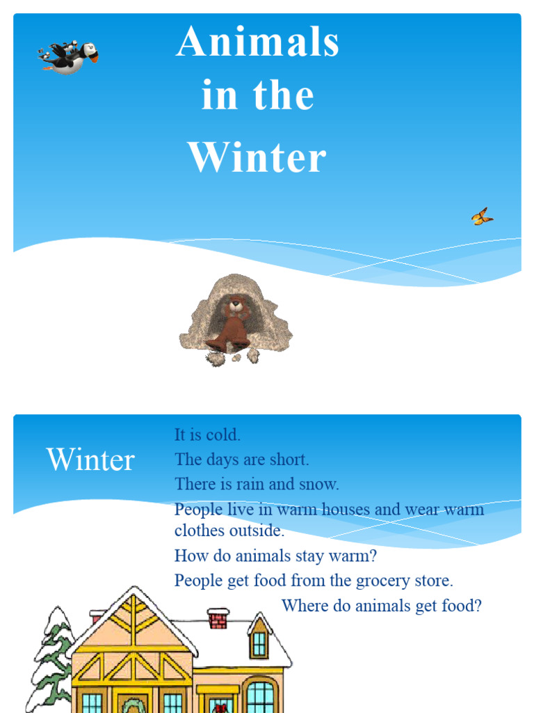 Animals in Winter Edited | PDF
