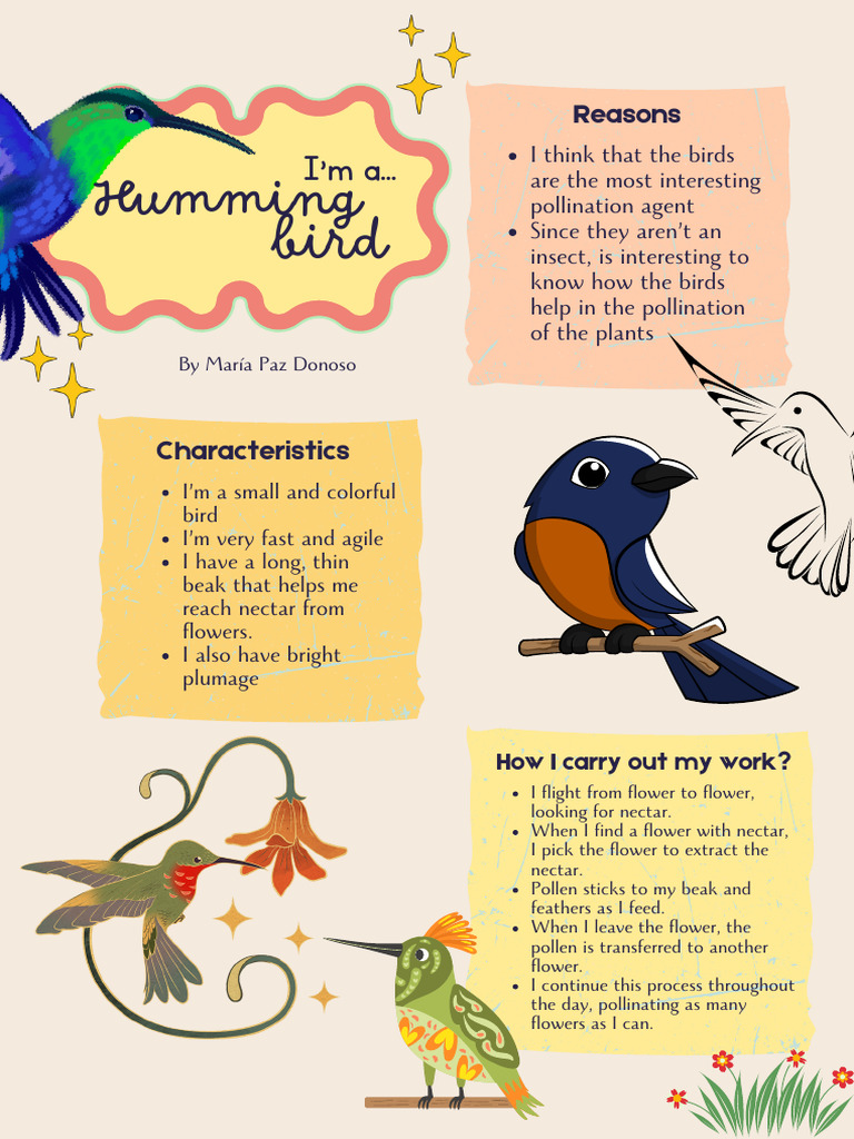 Zoology | PDF | Science & Mathematics