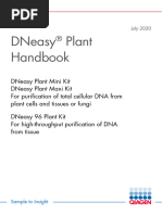 DNeasy Plant Mini Kit Protocol Written by Word Program | PDF