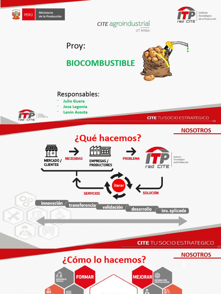Presentacion Final - Py PAPA | PDF