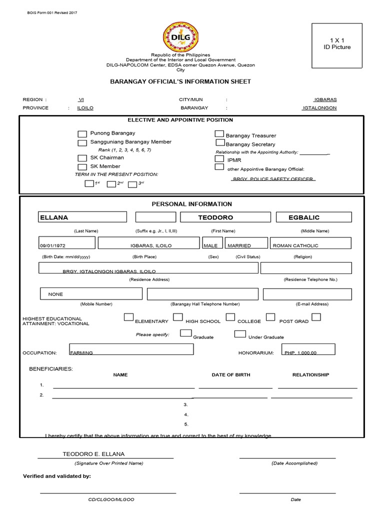 Bois Form Revised 2017 2 | PDF | Philippines