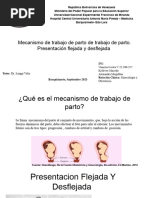 Maniobras en el Parto: Técnicas Clave | PDF | Pelvis | Parto