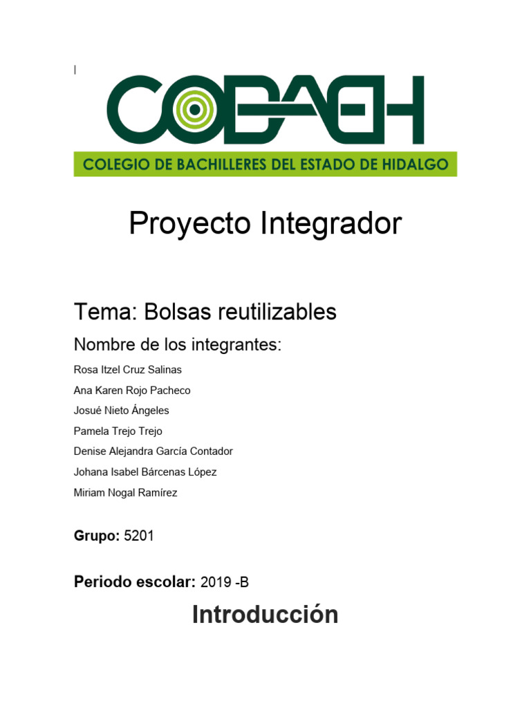 Proyecto Integrador | PDF | El plastico | Residuos