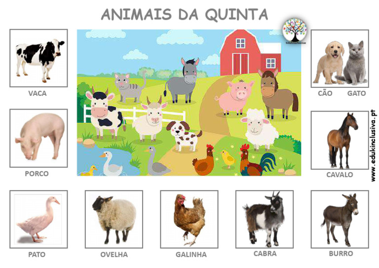 Animais da Quinta: Guia Visual | PDF