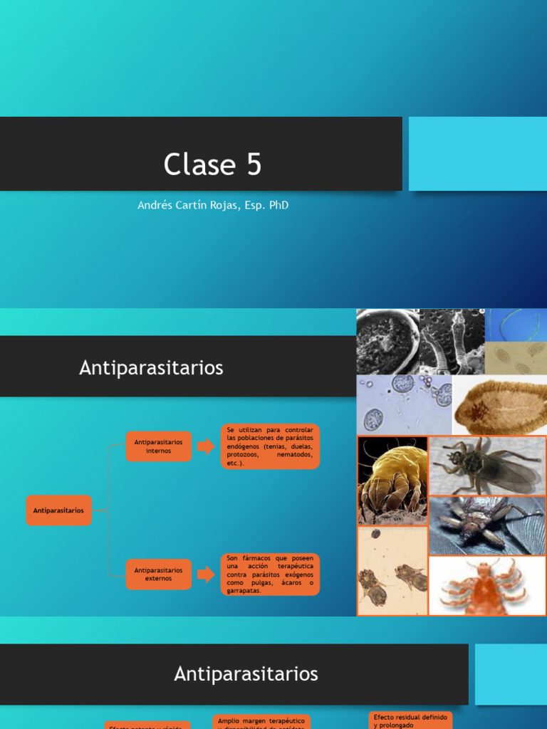 Clase 5 | PDF