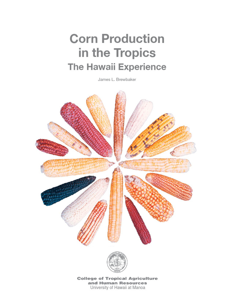 Corn 2003 | PDF | Maize | Soil