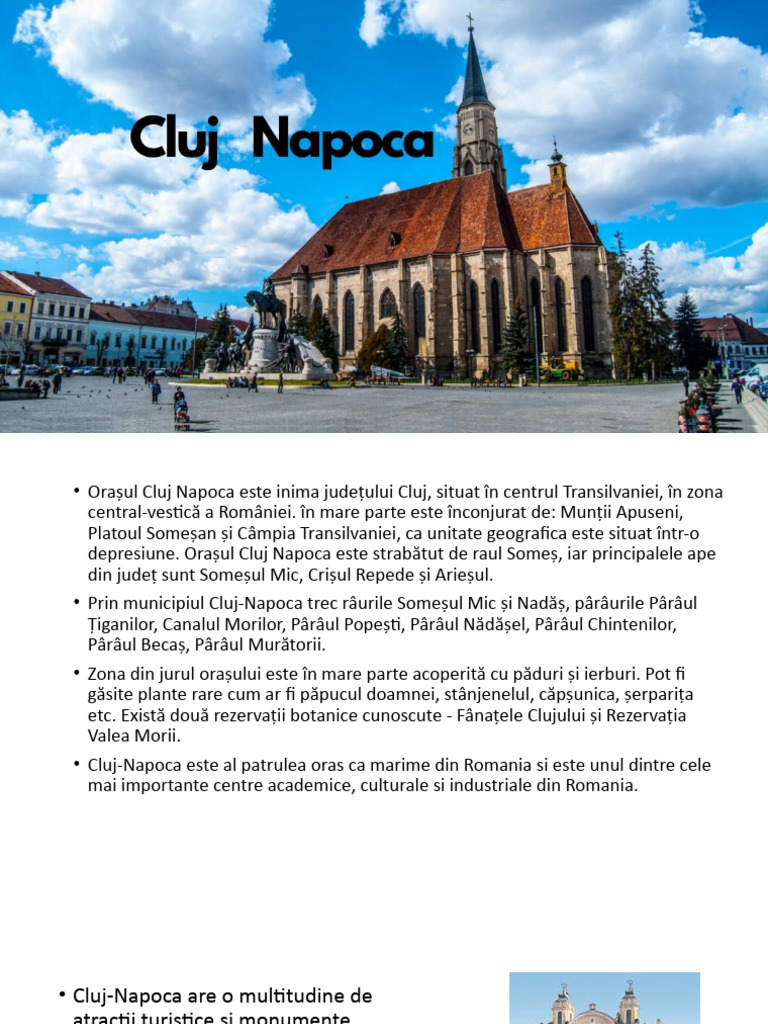 Cluj Napoca | PDF | Casa e Jardim