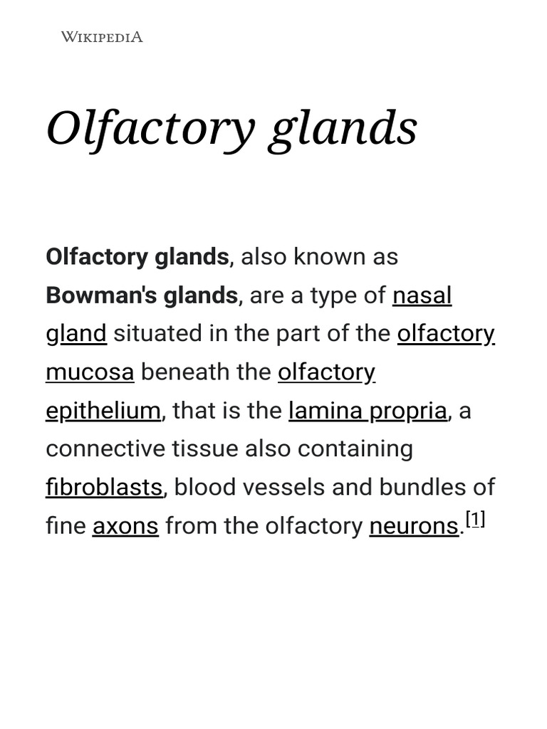 Olfactory glands - Wikipedia | PDF | Olfaction | Morphology (Biology)