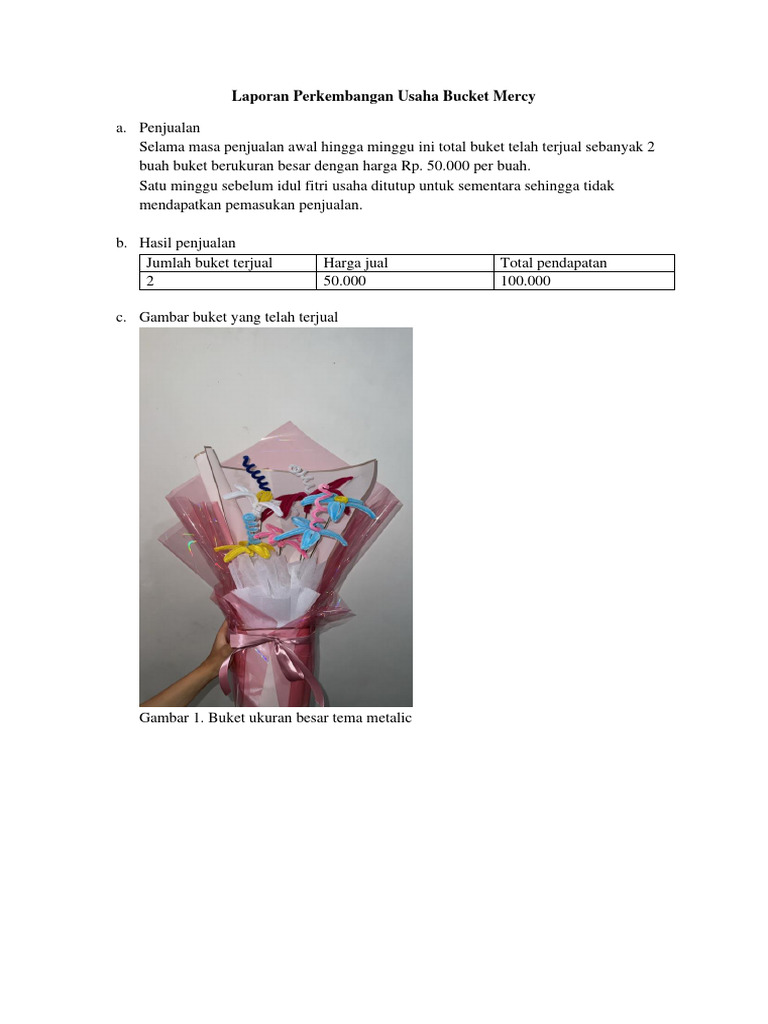 Laporan Perkembangan Usaha Bucket Mercy | PDF