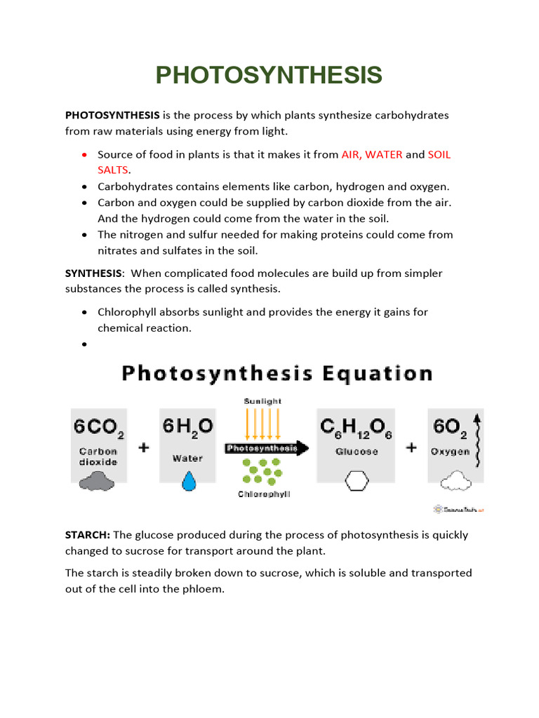 Photosynthesis PDF | PDF | Photosynthesis | Plants