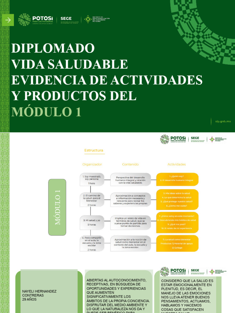 Vida Saludable Evidencias IPMP | PDF | Las emociones