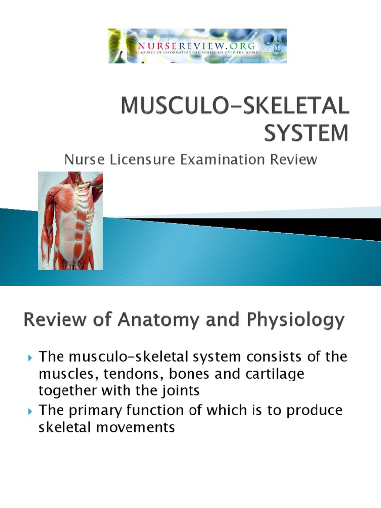 Nurse Exam Review Musculoskeletal System Pdf Osteoarthritis