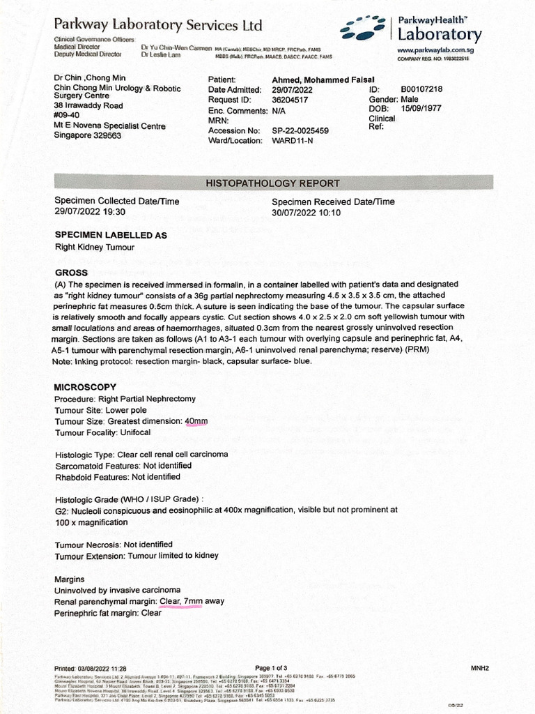 Histopathology Report | PDF