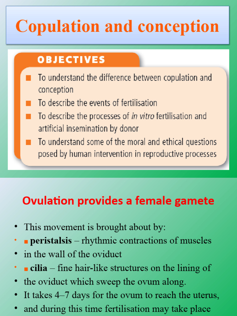Reproduction in Human 2 | PDF | Fertilisation | Sexual Intercourse