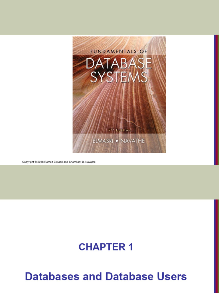 Chapter01 Databases And Database Users Pdf Databases Application Software