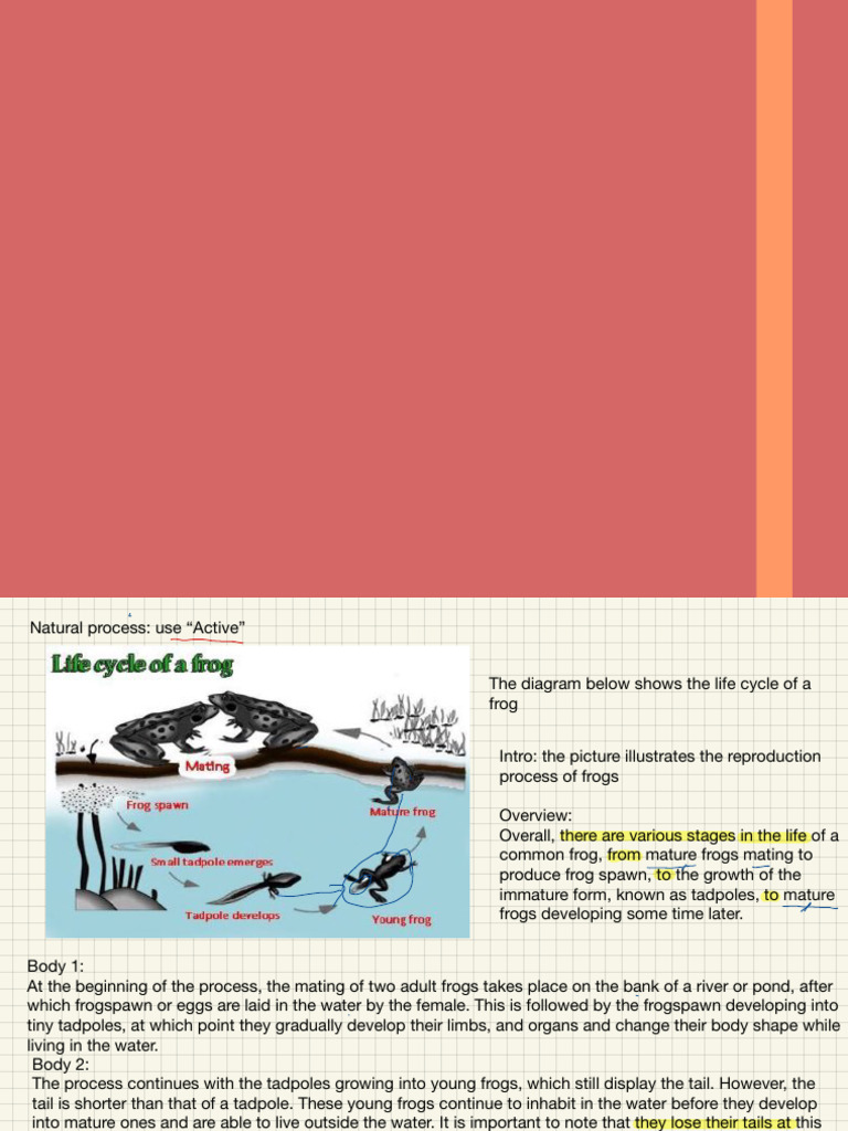 Natural Process | PDF | Frog | Spawn (Biology)