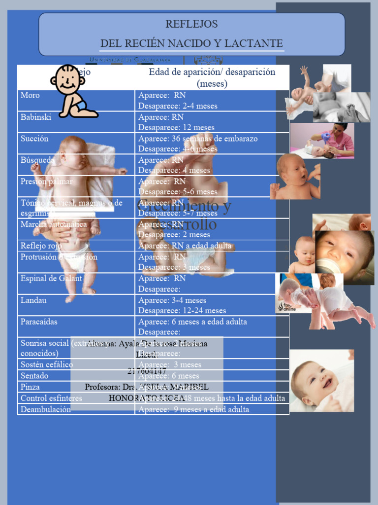 Reflejos de RN y Lactante | PDF | Cerebro | Sistema nervioso