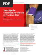 CSU Canine Acute Pain Scale Guide | PDF | Pain | Diseases And Disorders