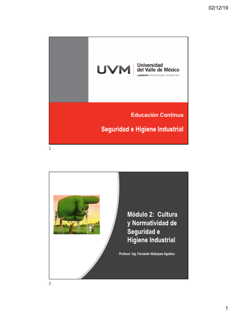 Modulo 2 C1 y C2. | PDF | Higiene Ocupacional | Business