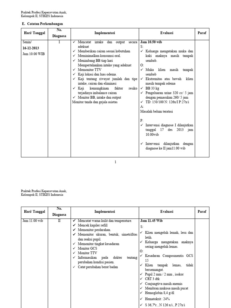 Catatan Perkembangan | PDF