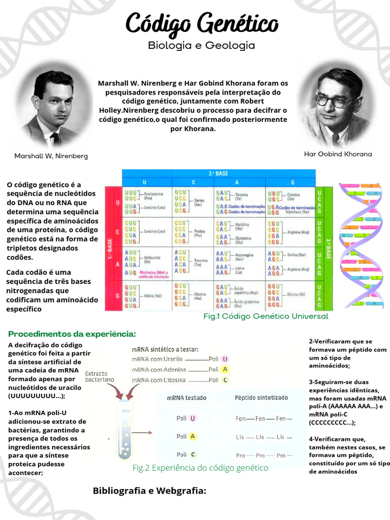 Poster Código Genético | PDF | Código genético | Genética molecular