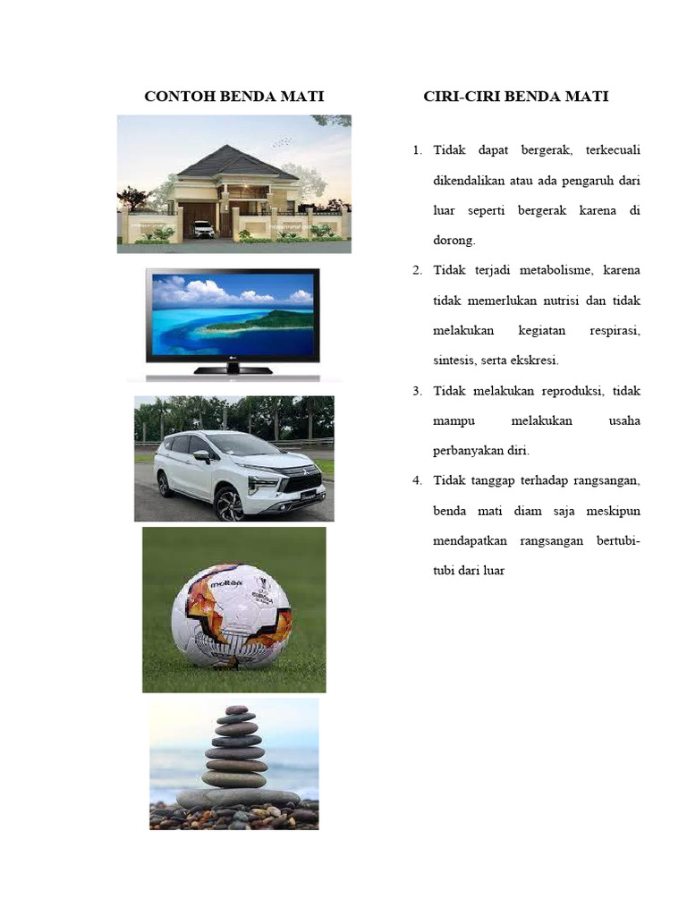 CONTOH BENDA MATI Dan Hidup | PDF