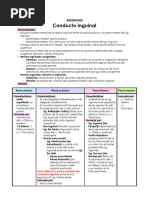 Anatomía de la Región Inguinocrural | PDF | Abdomen | Anatomía