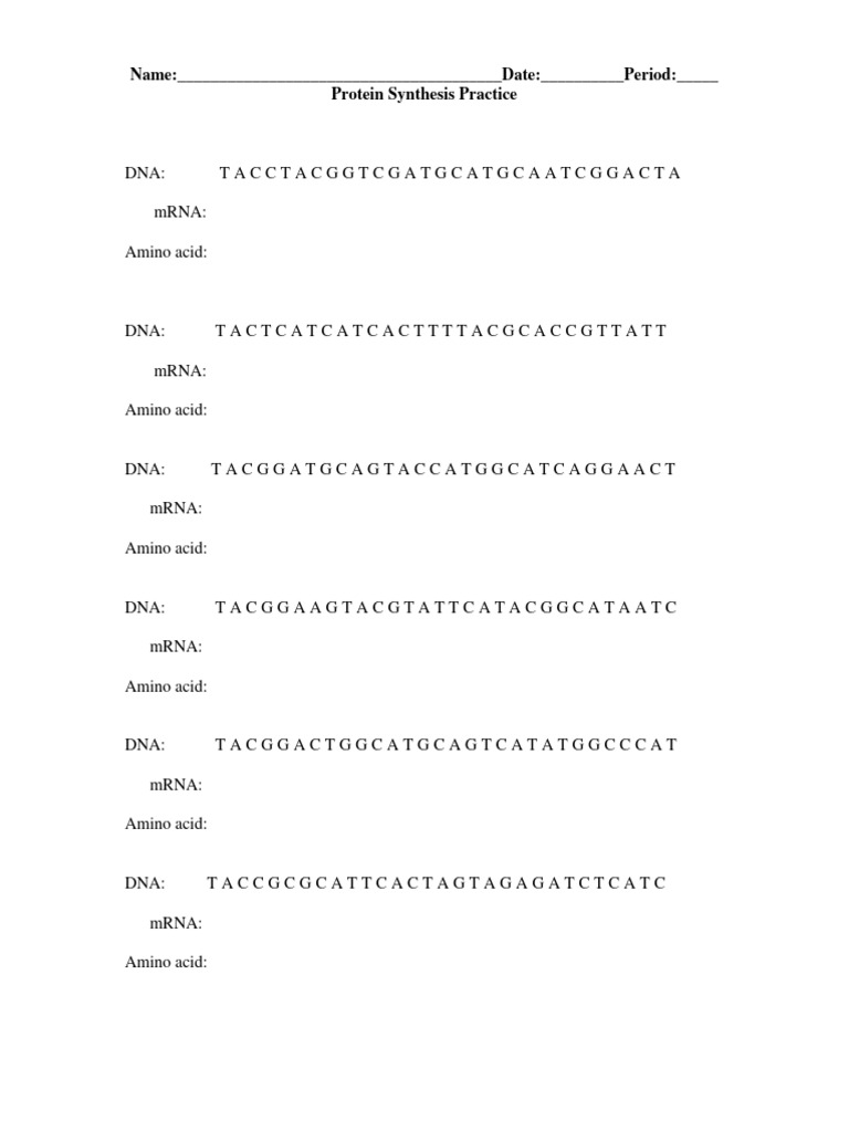 Protein Synthesis Practice | PDF