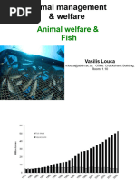 Market Forms of Fish and Fish Products | PDF | Fish | Steak