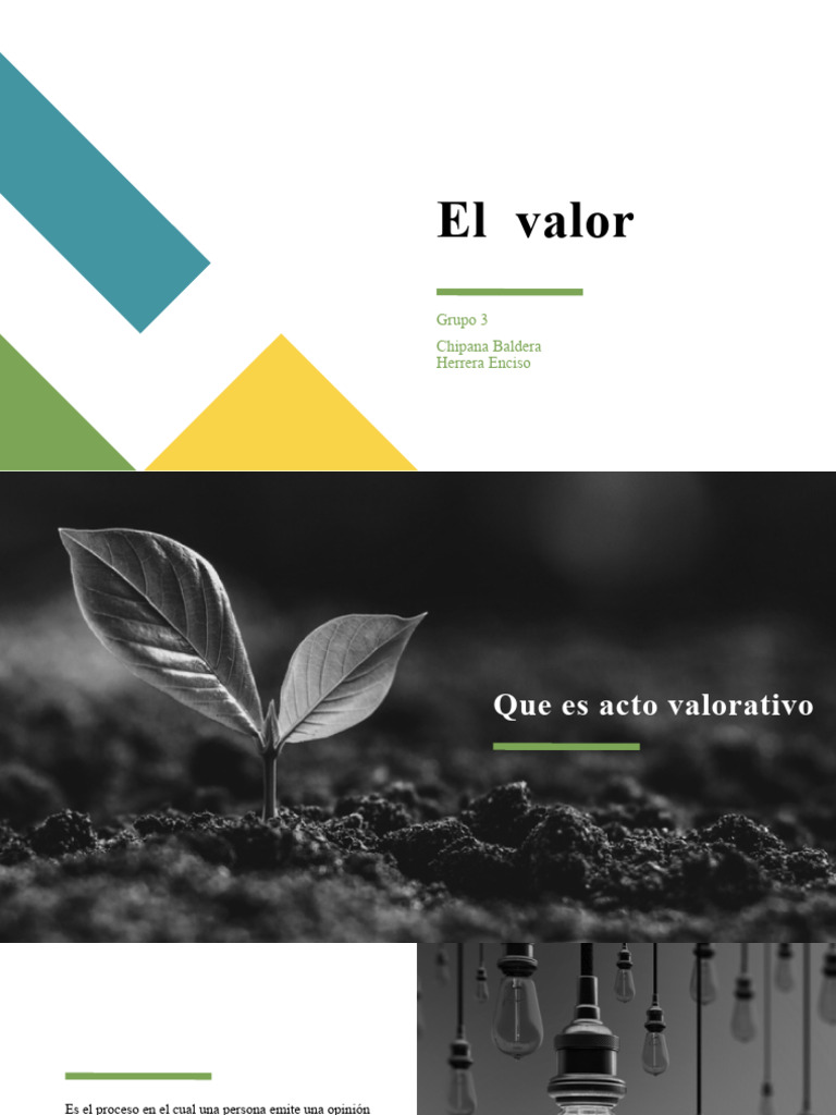 El Valor | PDF | Estética | Belleza