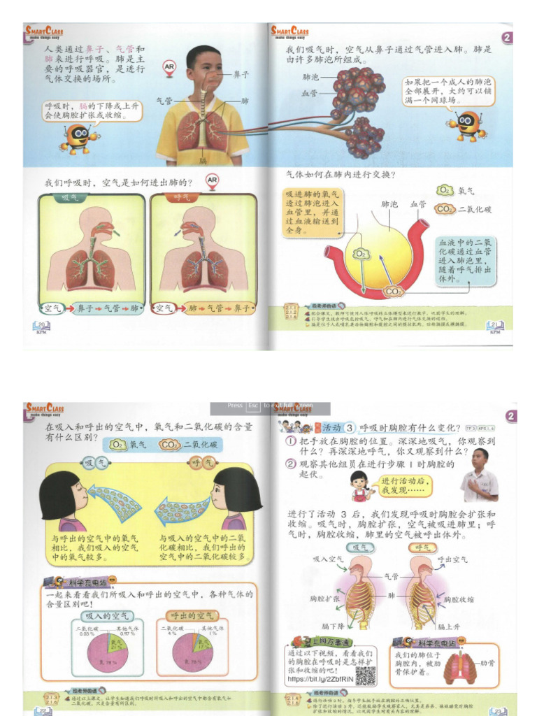 Primary 4 Science Topic 2 | PDF