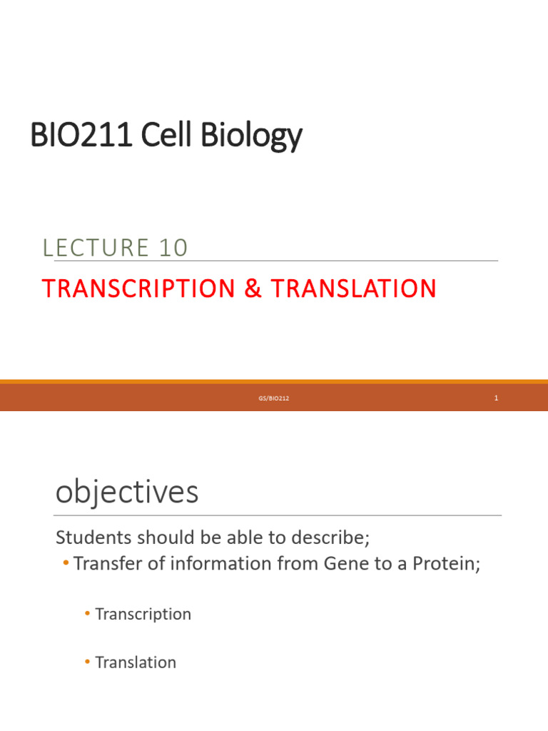 BIO211 L10 TRANSCRIPTION and TRANSLATION | PDF | Translation (Biology) | Genetic Code